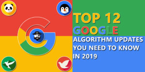 Top 12 Google Algorithm Updates You Need to Know in 2019 - SEO Basics